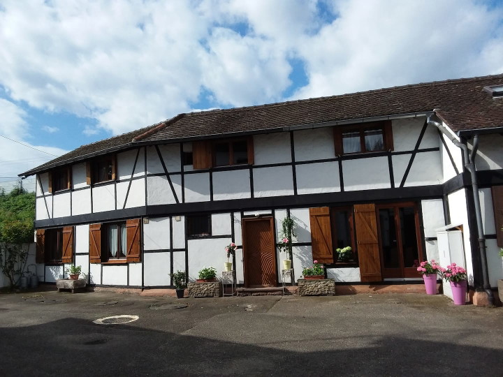 Maison Alsacienne 145 M2 Dans Un éCrin De Verdure - Strasbourg