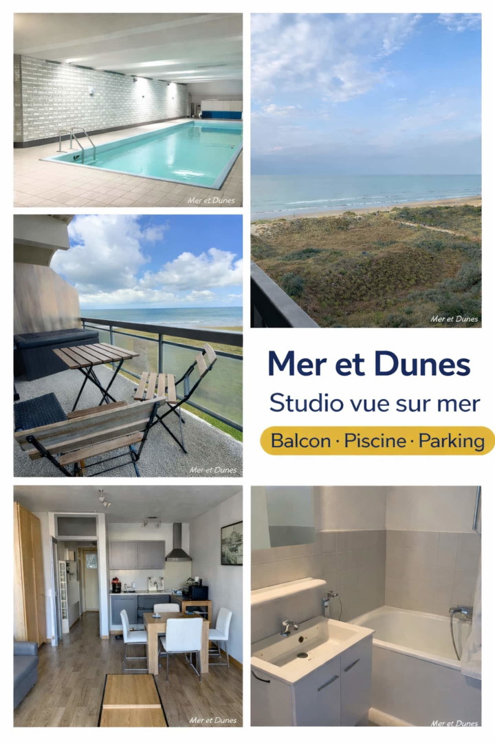 Charmant Studio Vue Sur Mer Et Piscine Couverte - La Panne