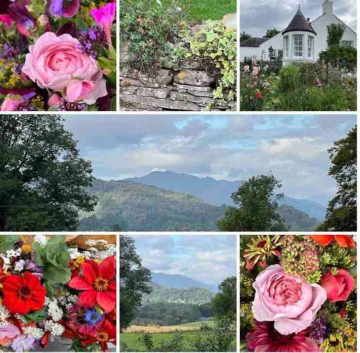 Honeypot Cottage, Peaceful, Countryside Setting - Crieff