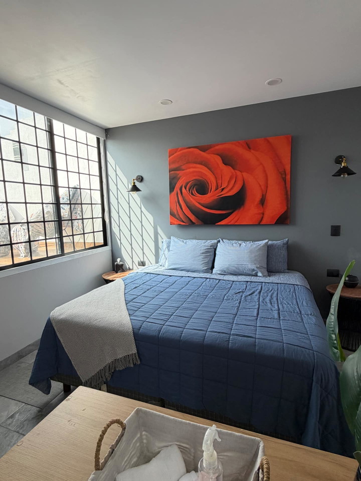 Loft Málaga - Aguascalientes