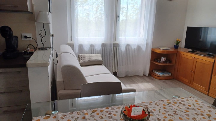 Marilù "Olivo" Apartment, Ground Floor - Lake Garda