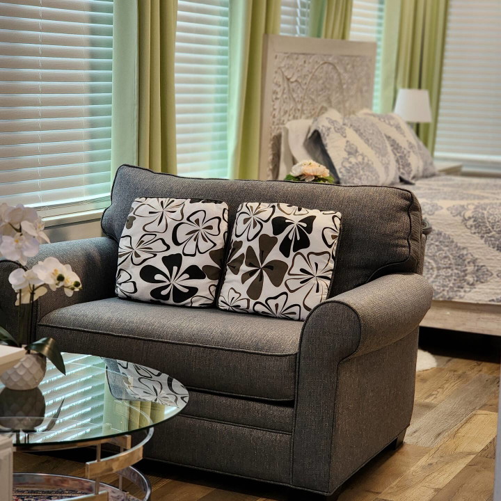 Guest Suite With Private Entrance And Bath - Roanoke, VA