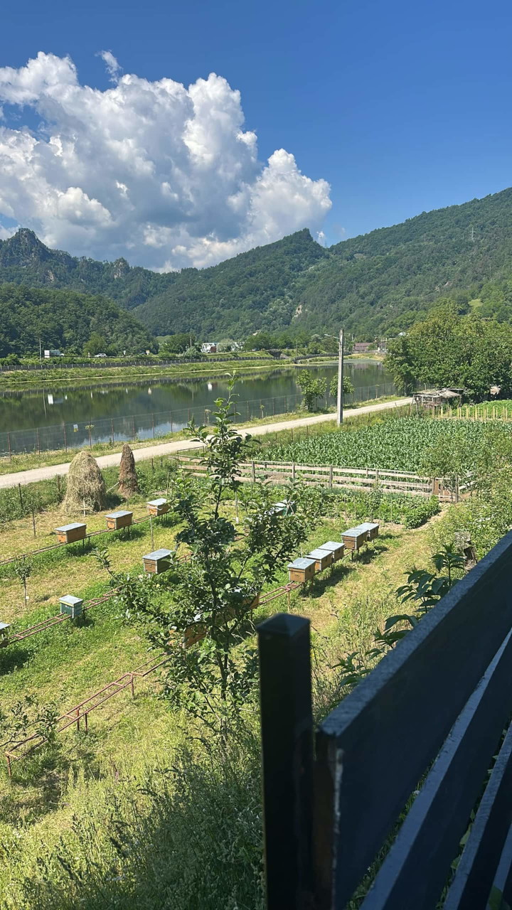 Vatra Bunătăților  By The Lake - Brezoi