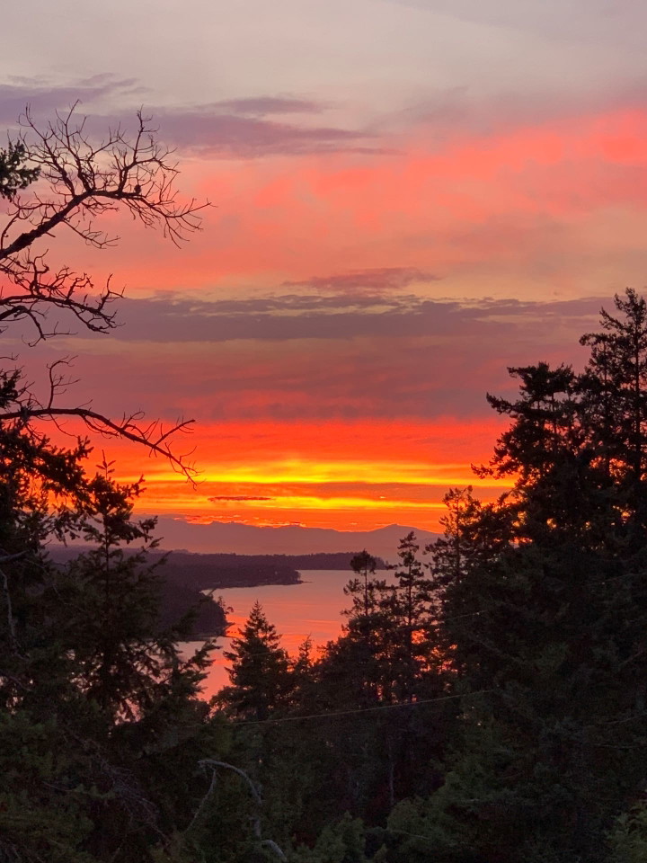 Ravens Nest Guest House - Vancouver Island