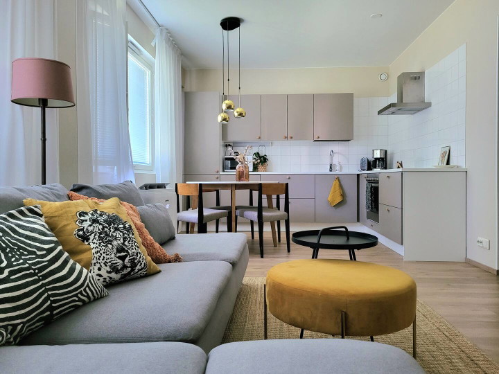 Downtown Boutique Suite: Free Parking, Ac & Wi-fi - Finland