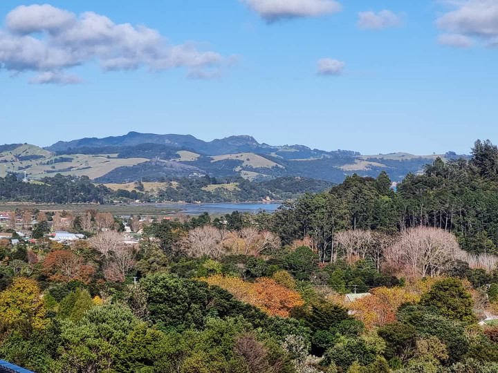 Bellville Bach Getaway - Views/internet/open Plan - Coromandel