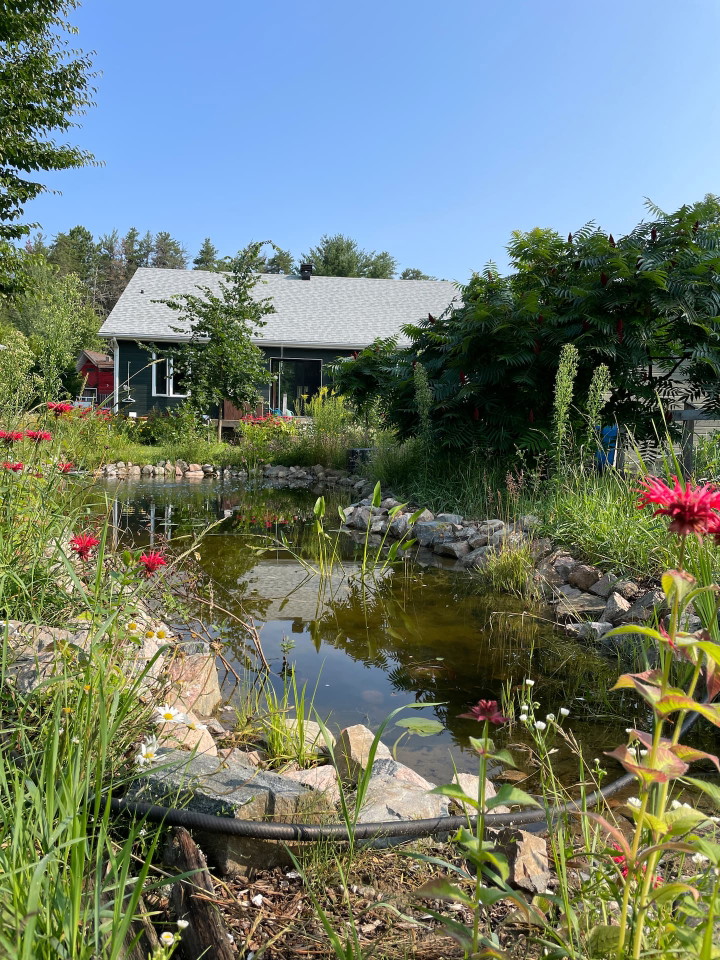 Refuge Nature Forêt De Quartier Plein Air 4 Saison - Quebec