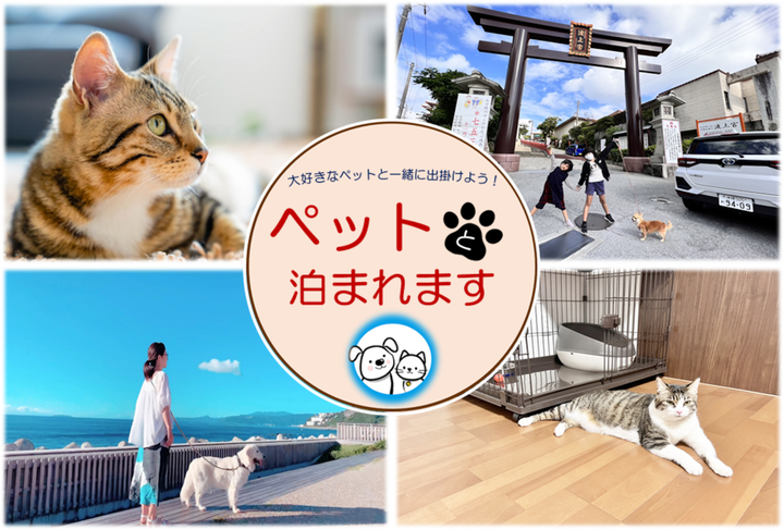 Room That Can Accommodate Pets [2 Double Beds, Maximum 4 Guests + Pet] Large Dogs And Cats Allowed - Naha