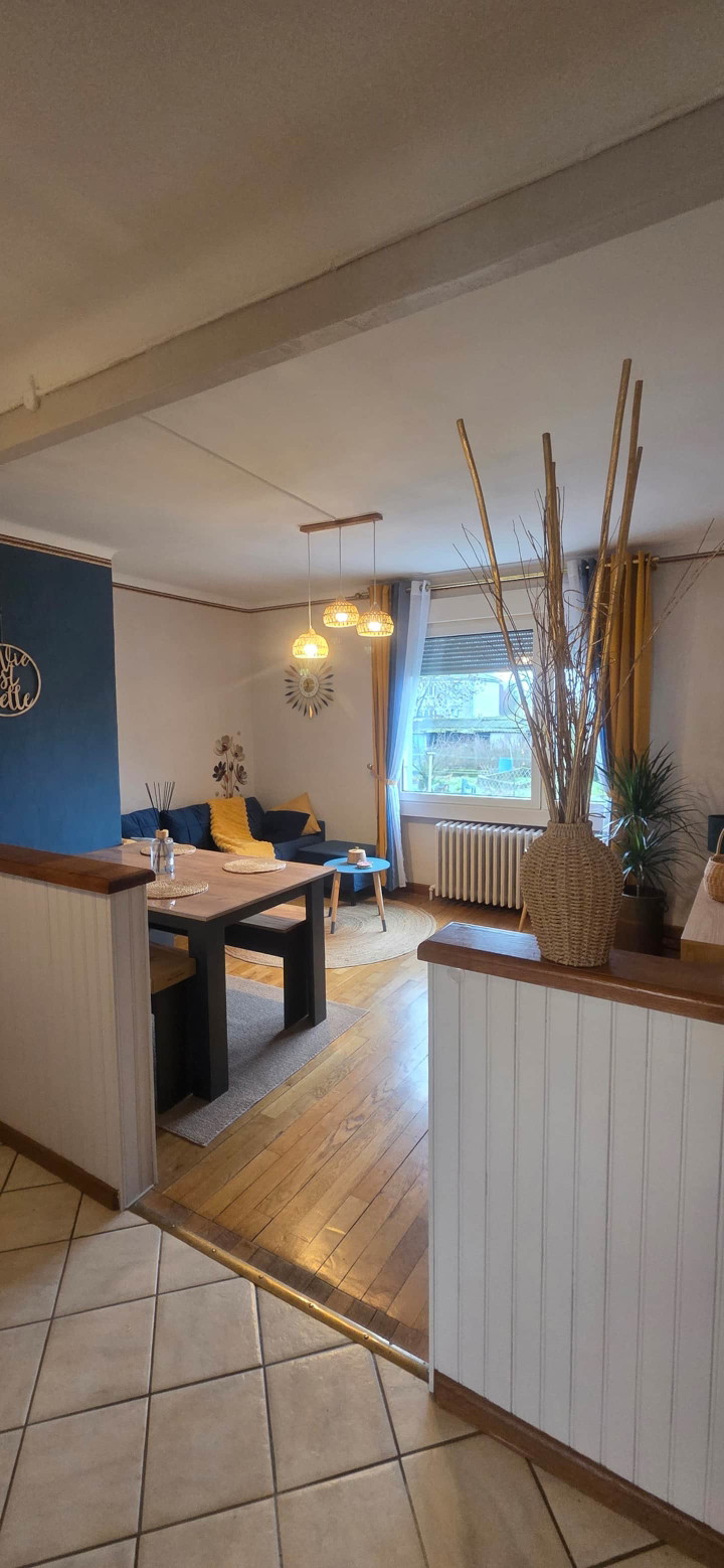 Joli Petit Appartement Cosy Avec Terrasse & Jardin - Thionville