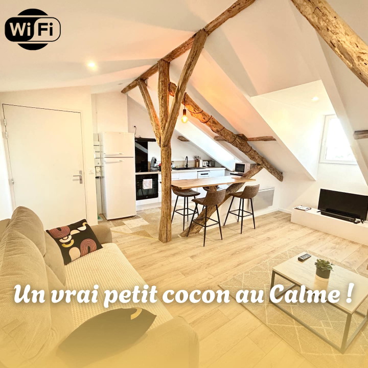 Petit Cocon Au Calme - Clim - Auch