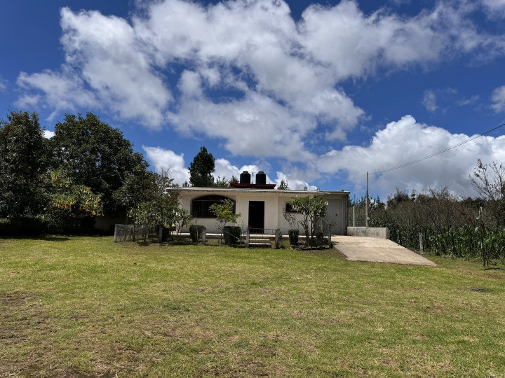 House Surrounded By Nature - México