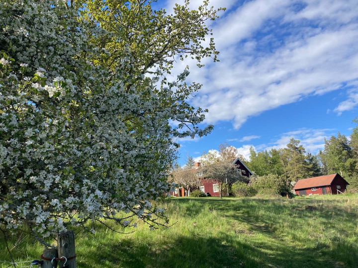 Secluded Countryside Farm Tennis Court  13 Guests - Sweden