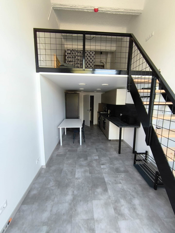 Cozy 2-level Loft With Private Entrance - Vilnius