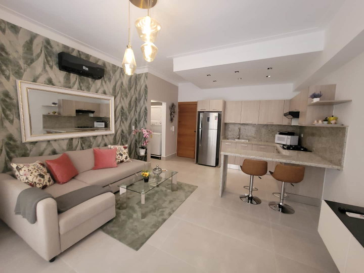 Appartement Dans Le Secteur Naco Tap Vi 2b - République dominicaine