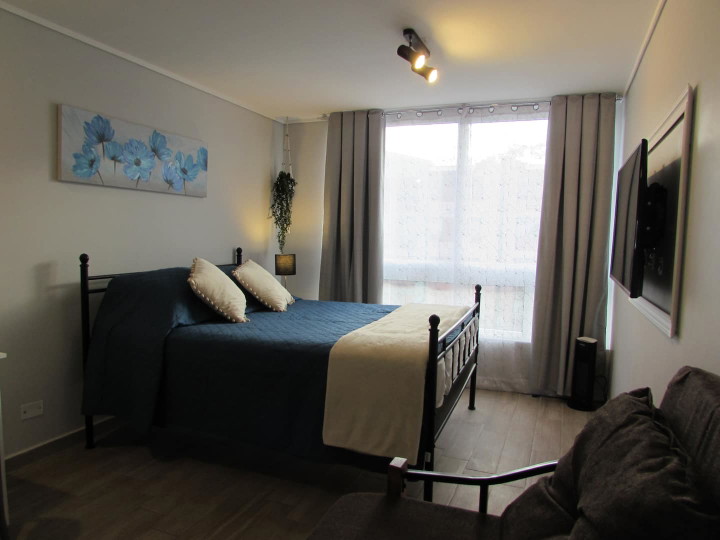 Appartement à Côté De La Movistararena, Du Métro Et Du Parc - Santiago