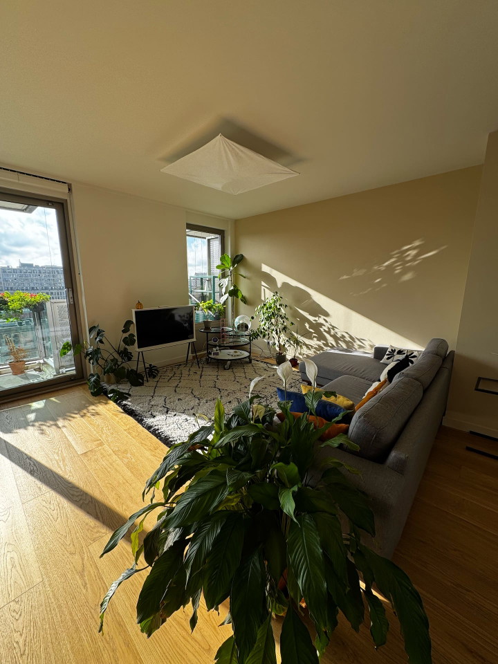 Sunny 2br Apartment W/ Balcony Renovated 2025 - Amsterdam