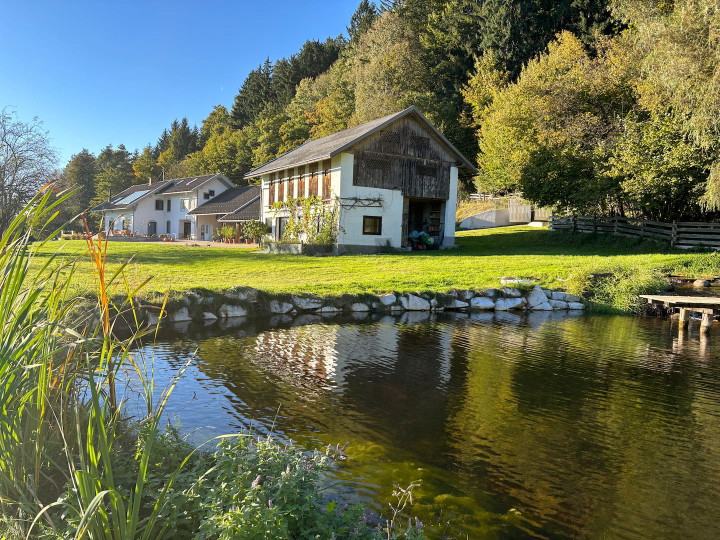 Reimagined Farm With Swimming Pond By Woerthersee - Villach
