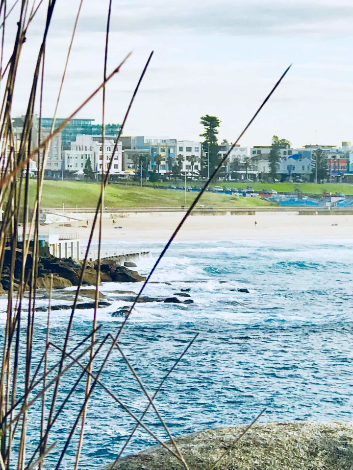 Gorgeous Coastal Beach Pad-5 Mins Walk Bondi Beach - Randwick