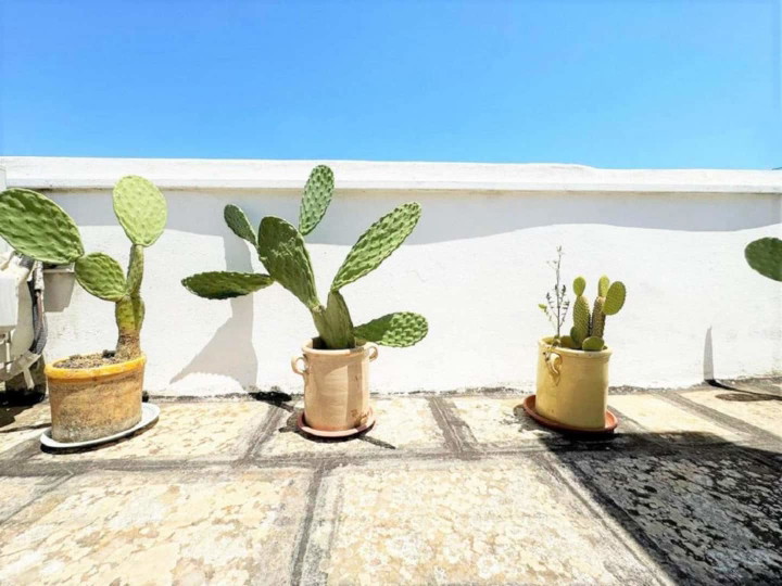 Terrace 62, The Little White Houses - Ostuni