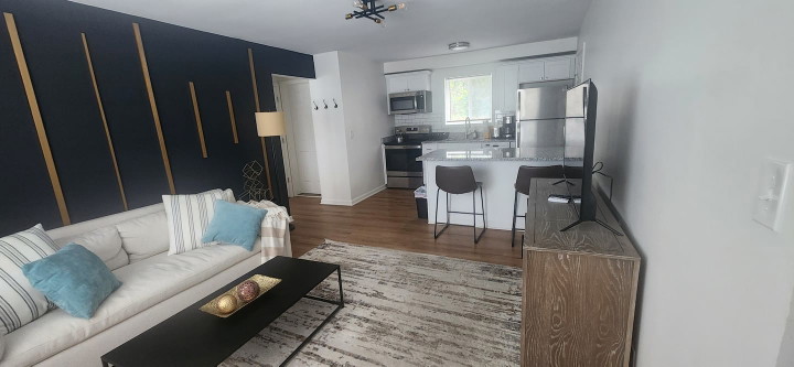 Entire 1 Bdrm Cozy Apt Near Dwntn - Royal Oak, MI