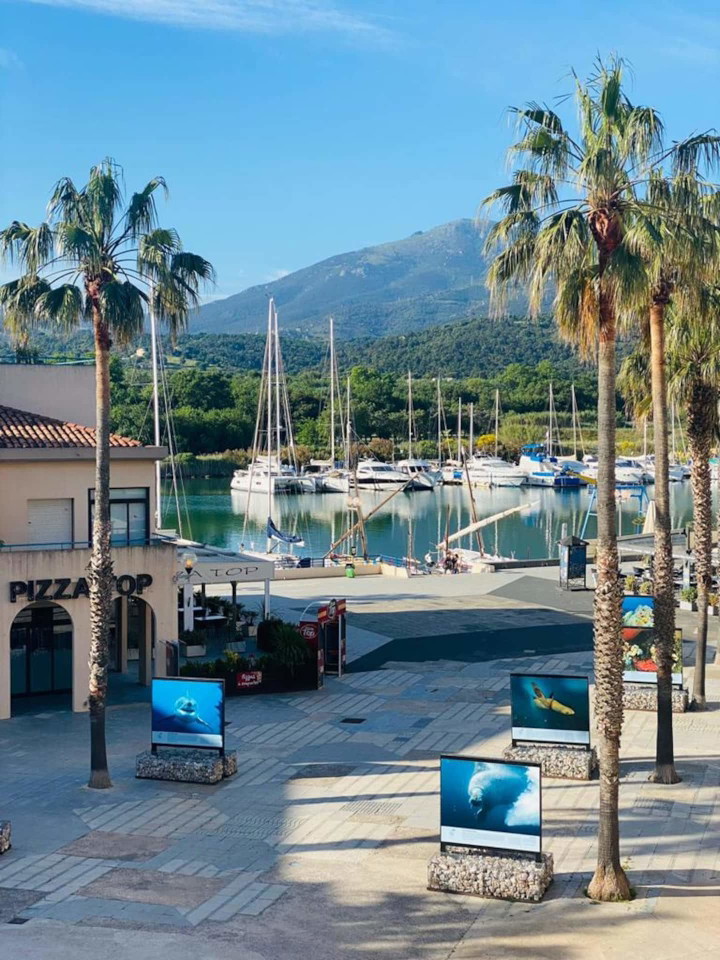 Le Vermeille Apartment, View Of Sea Port And Mountain - Colliure
