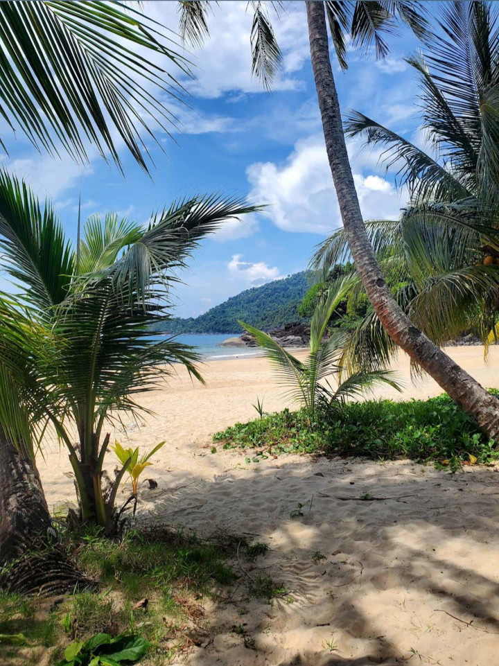 Triple Room 8 With Sea View - Tioman Island