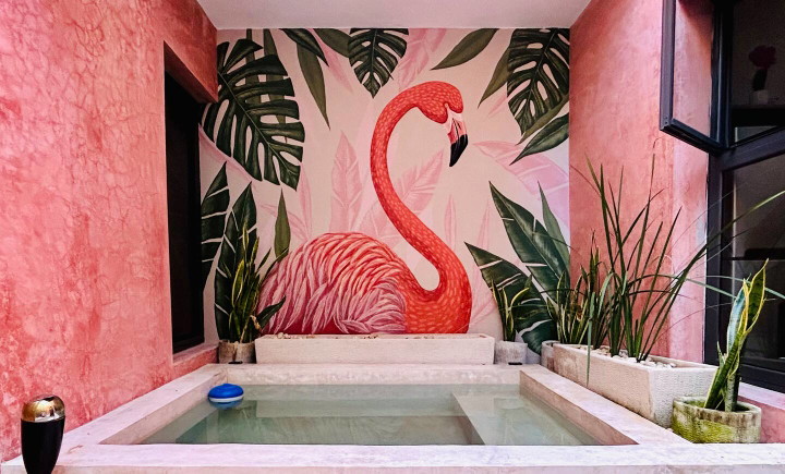 Departamento Flamingos 2br Private Pool - Mérida