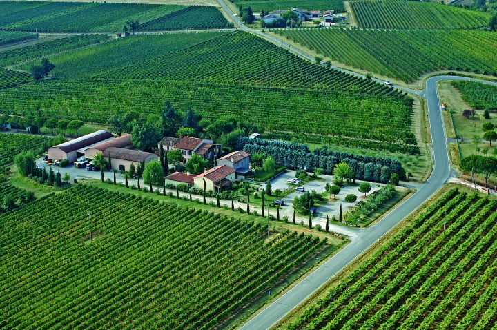 Trerè Farm Holidays In The Vineyard - Imola