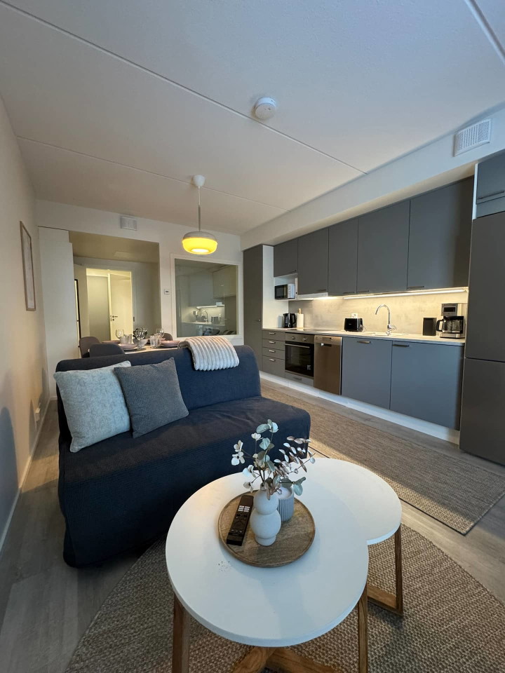 30 M² | Terrasse | Téléviseur 4k | Spacieux | Wi-fi - Finlande
