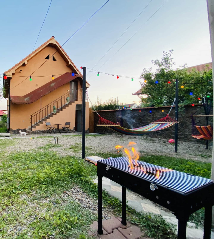 Central Apartment With Garden In Blaj - Blaj