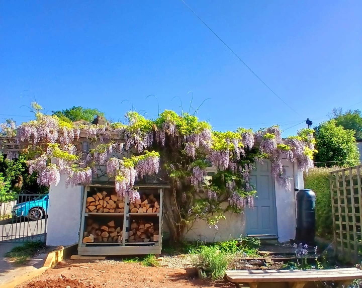 Wisteria Corner, Totnes - Totnes