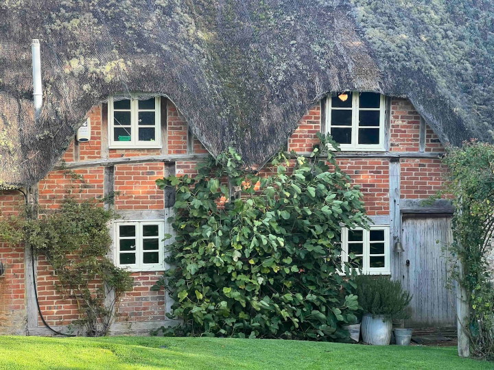 Very Special Family Home - Devizes