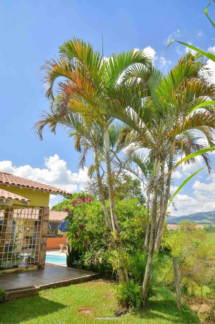 You'll Find The Best View Of Socorro Here! - Socorro