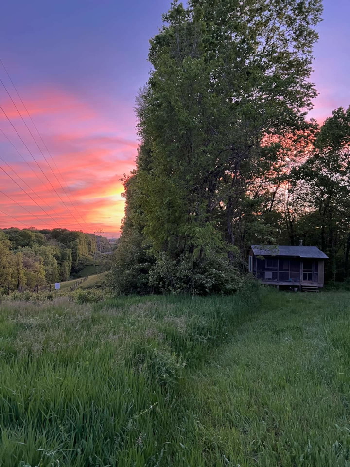 Cute Cabin On Farm: Animals + Workshops + Creek - Illinois