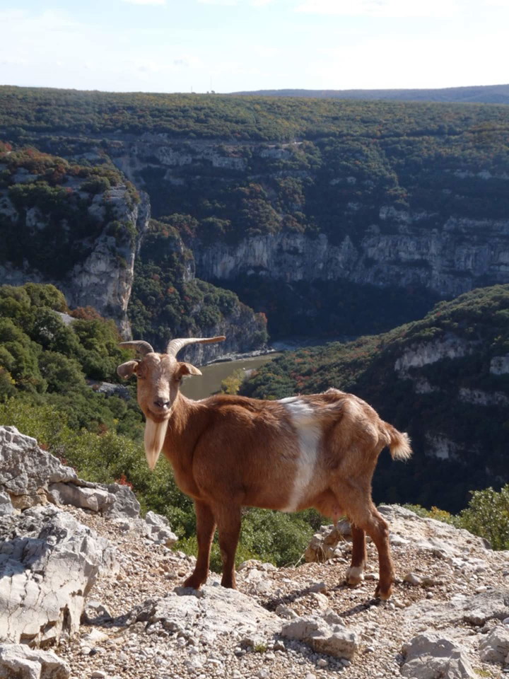 Le Péquélet, Gite Dans Hameau Plein De Charme - Ardèche