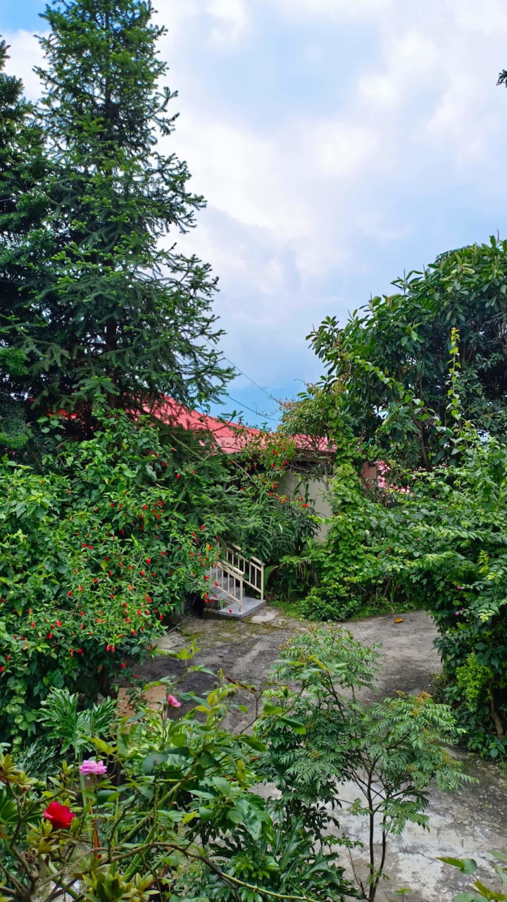 Aam's Courtyard (Whole Cottage - 2 Rooms) For 04 - Kalimpong