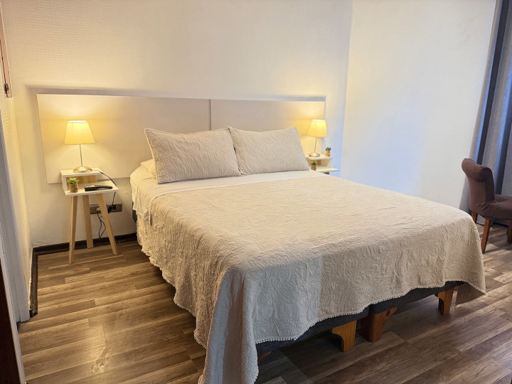 Fully Equipped Apartment In The Bellas Artes Neighbourhood - Santiago