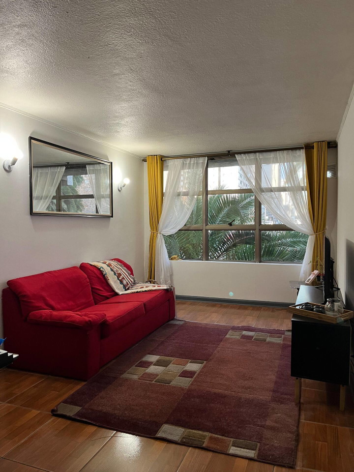 Appartement Confortable à Proximité De Movistar Et Du Métro. - Santiago