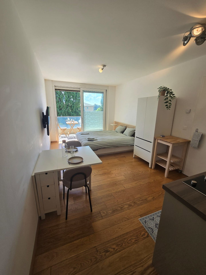 Studio Chaleureux Avec Terrasse - Parking Sécurisé - Crissier