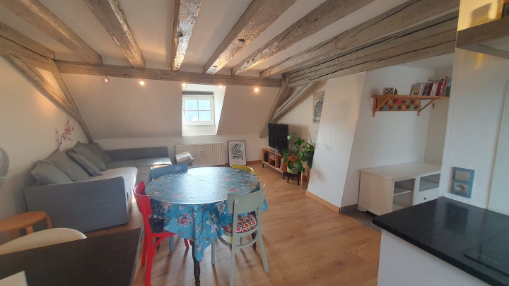 Mon P'tit Nid T3 Duplex (2 à 6 Personnes) - Strasbourg