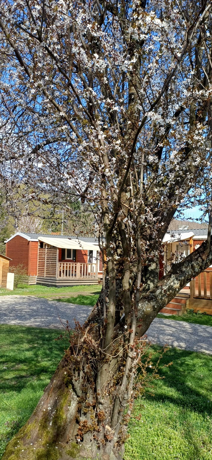 Bungalow éQuipé Munster Avec Draps , Serviettes . - Alsace