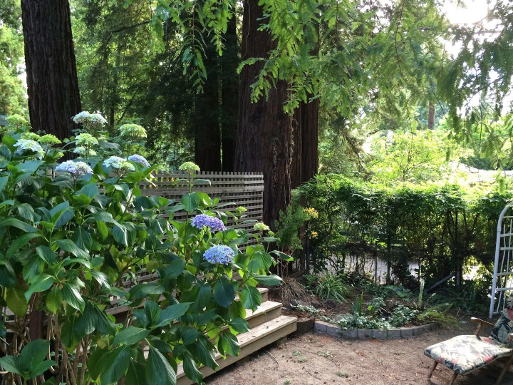 Privacy, Sunshine & Redwood Trees! - San Anselmo, CA