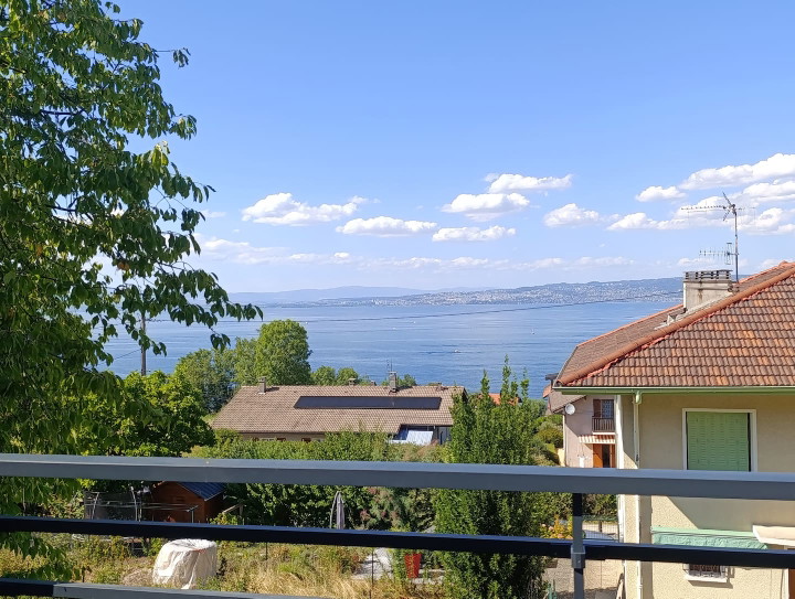 Maison 3 Chambres Entre Lac Et Montagne - Lake Geneva