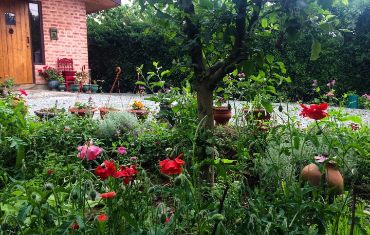 Naivasha - A Tranquil Orchard Studio Near Dal Lake - India