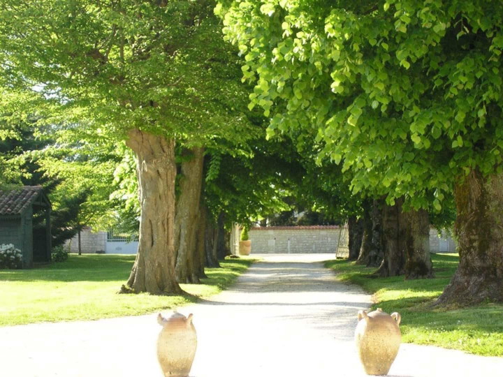 Maison A L'ombre Des Tilleuls. - Jonzac