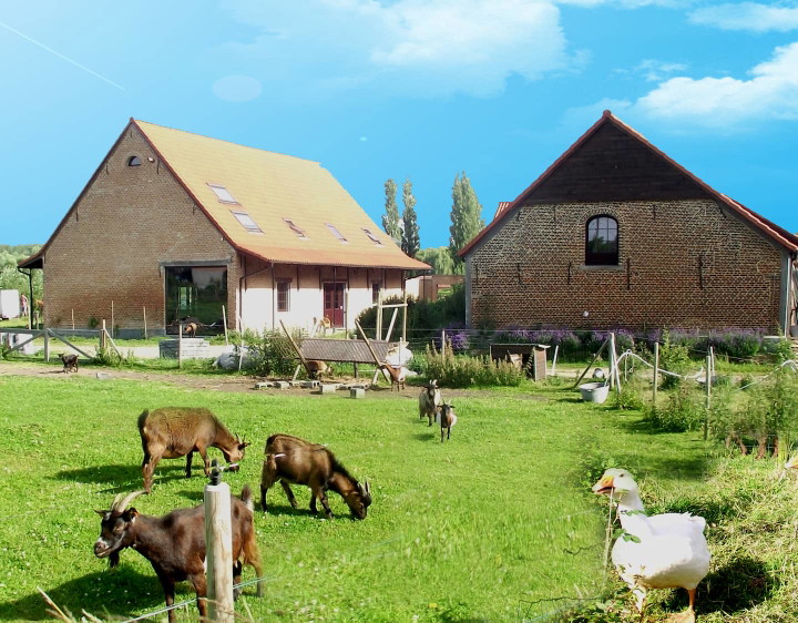 De Plukboerderij Van Schelle 14 Pers - Vlaams-Brabant