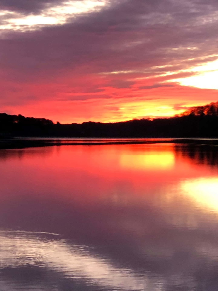 One Particular Cove ... On Lake Hartwell - Seneca, SC
