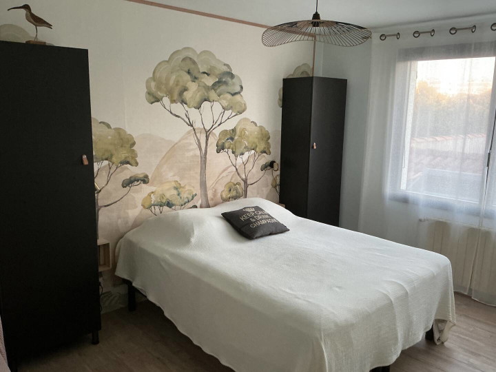 Chambre Lumineuse Dans Maison Avec Jardin - La Rochelle
