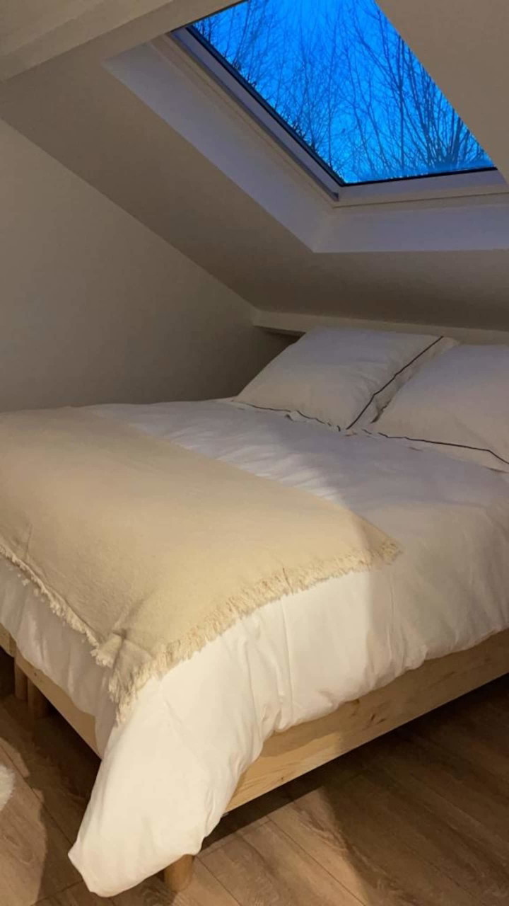 Duplex De 3 Chambres Proche Orly/paris - Chevilly-Larue