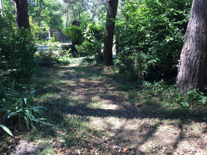 Aire Pour Van/camping-car, Foret De Fontainebleau - France